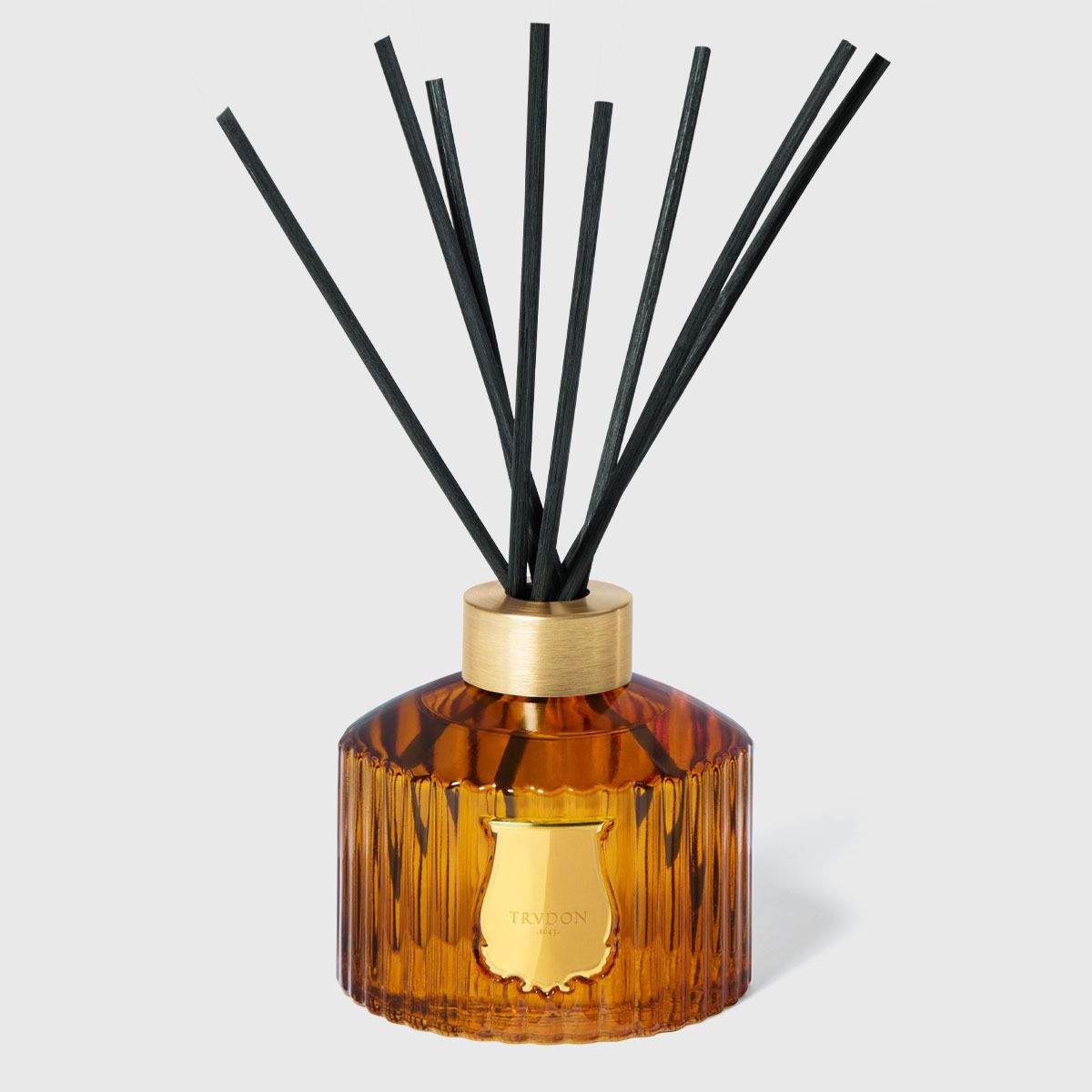 Trudon The Large Diffuser Altair - 1000 ML